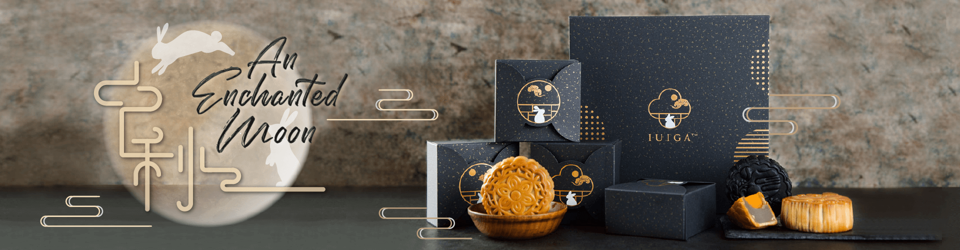 IUIGA | Home and Living. Complete Transparency.